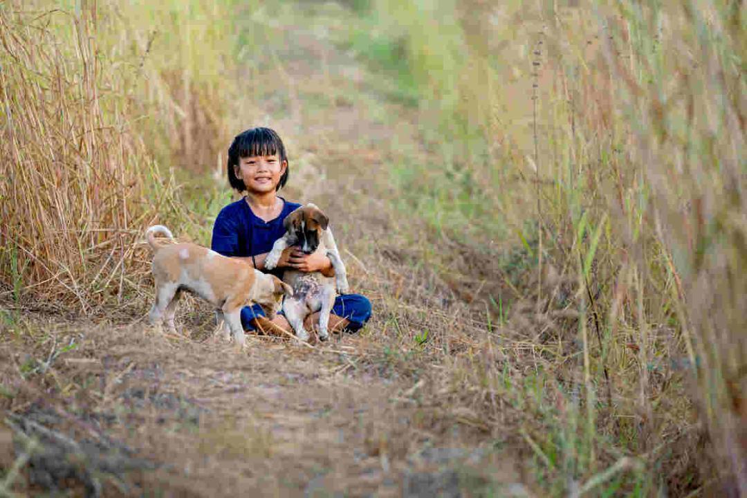 Why children face greater rabies risk and how to prevent it? | Health ...