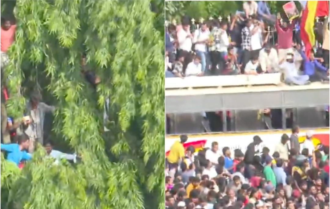 RCB fans climb trees, roofs, bus outside Chinnaswamy Stadium in ...