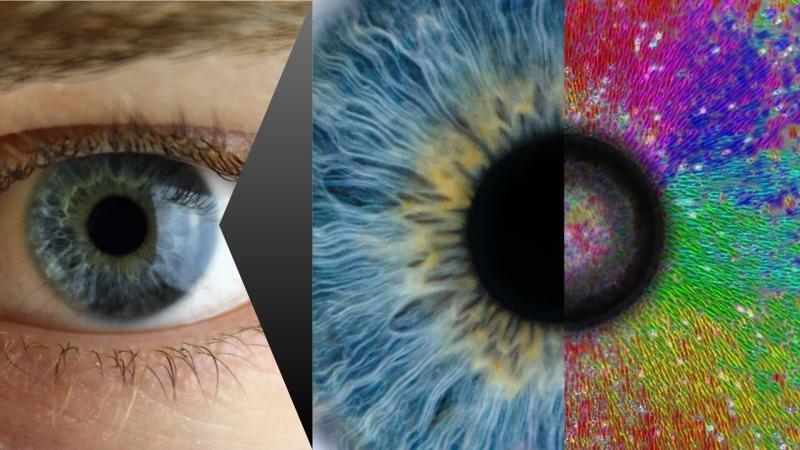 img_1749092949647_903.jpg?