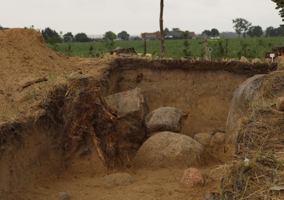 img_1752490010944_907.jpg?