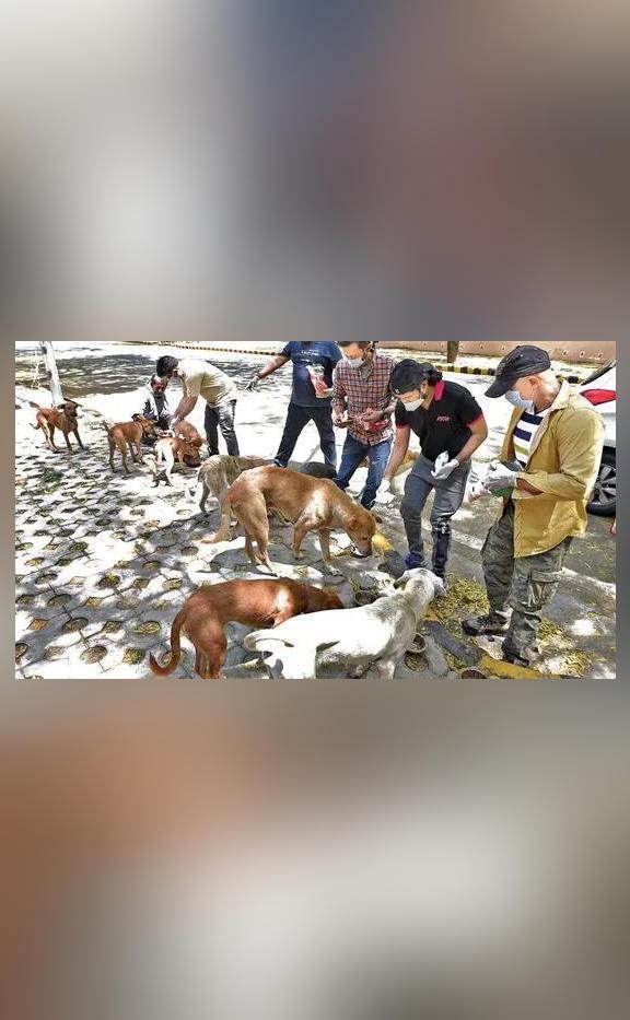 img_1752572589388_576.jpg?