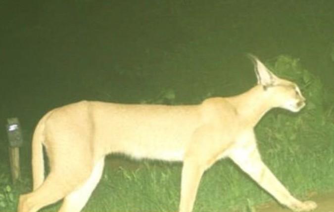 img_1752813422129_546.jpg?