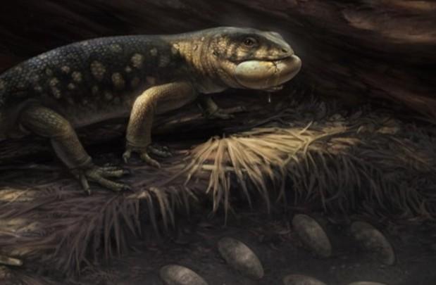 img_1751380540321_993.jpg?