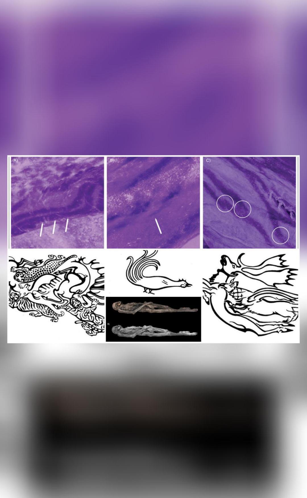 img_1754062133951_616.jpg?