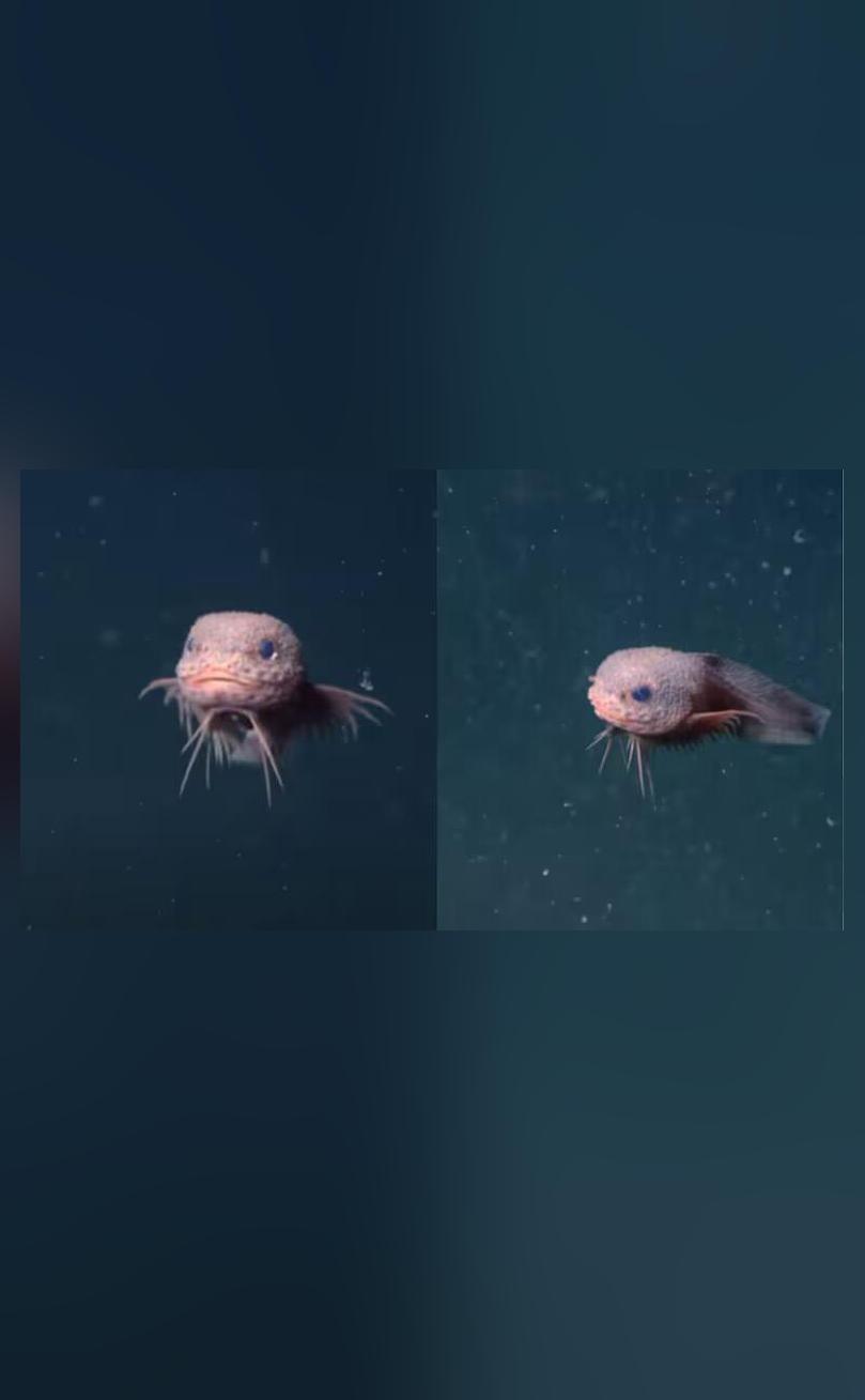 img_1757500679471_528.jpg?