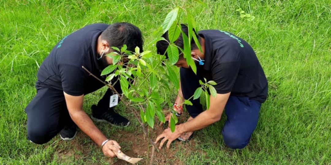Top 10 states leading Seva Parv plantation drive | Feel_Good_Stories ...