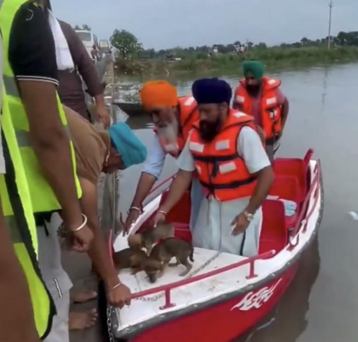 img_1756832319737_724.jpg?