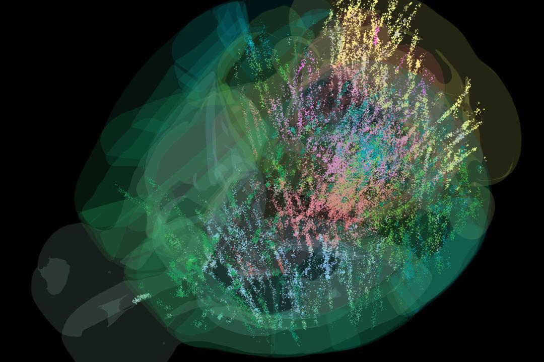 img_1756959649161_567.jpg?