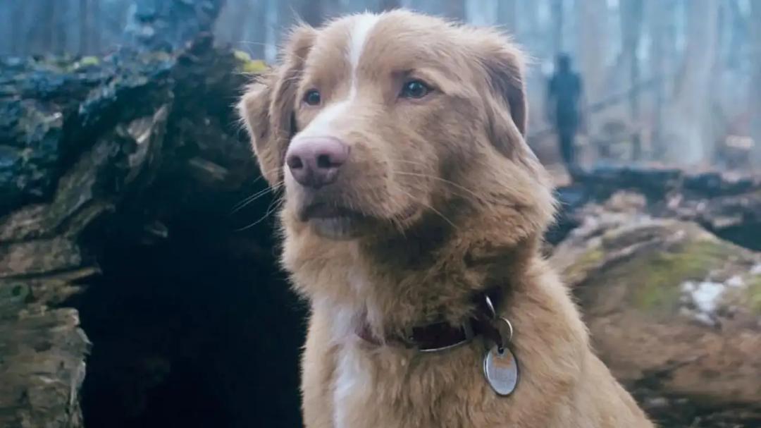 img_1760096023309_325.jpg?