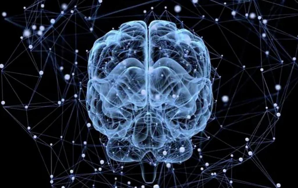Scientists discover brain circuit that can switch off chronic pain ...
