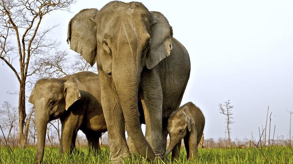 img_1759656531279_699.jpg?