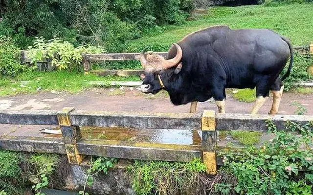 img_1728968328637_364.webp?