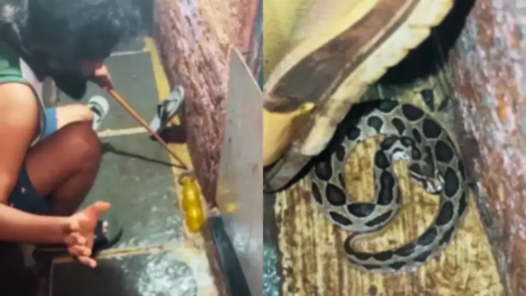 img_1753634735707_255.webp?